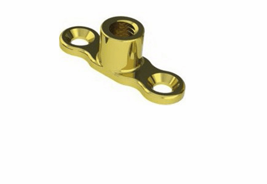 Backplate (M10) - Supplitech